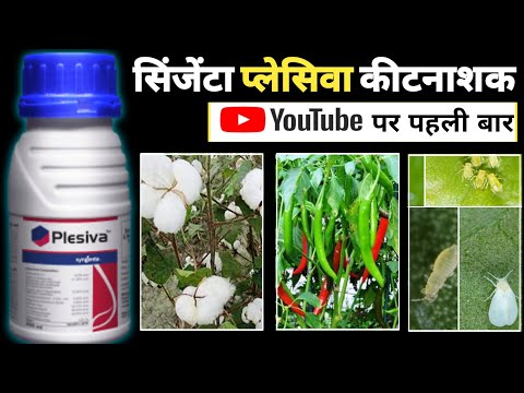 Plesiva syngenta insecticide /cyantraniliprole7.3% + Difenthuron36.4% ...