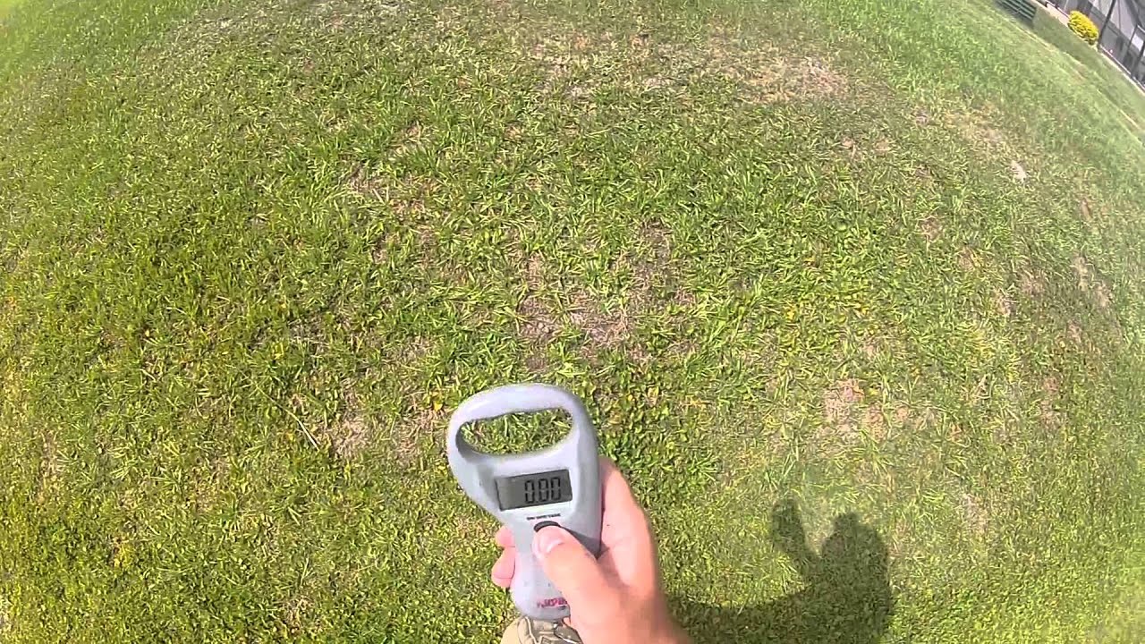 Florida Bass Fishing - Live Target Bluegill Wakebait - YouTube