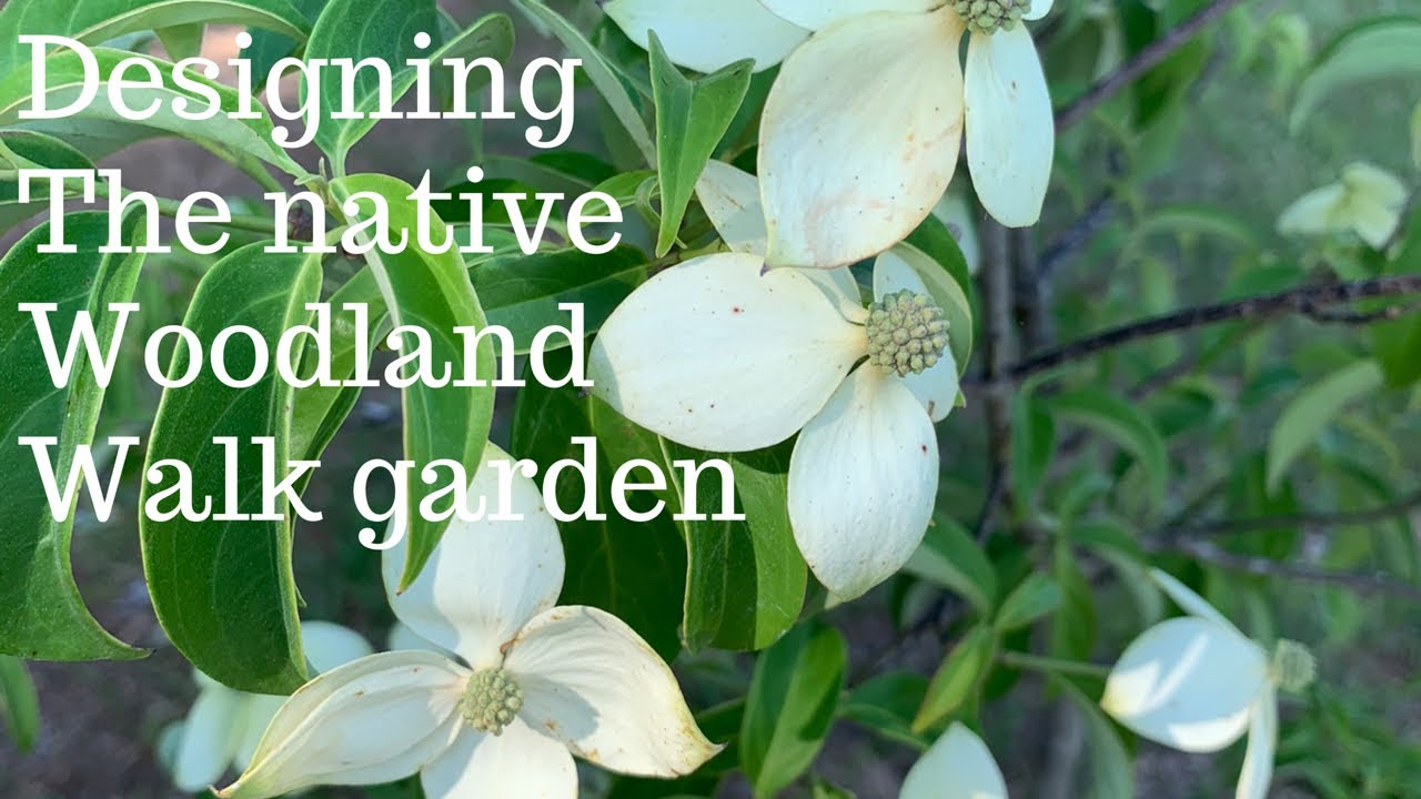 Designing the native woodland walk garden - YouTube