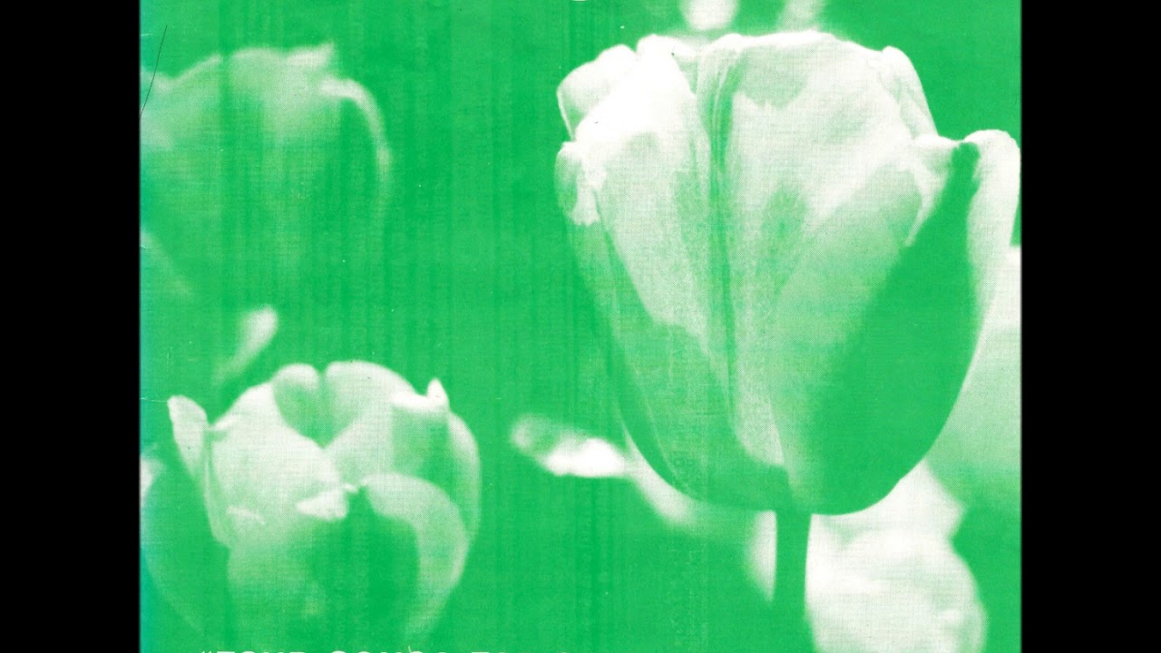 Fat Tulips - Mr. So Incredible - YouTube