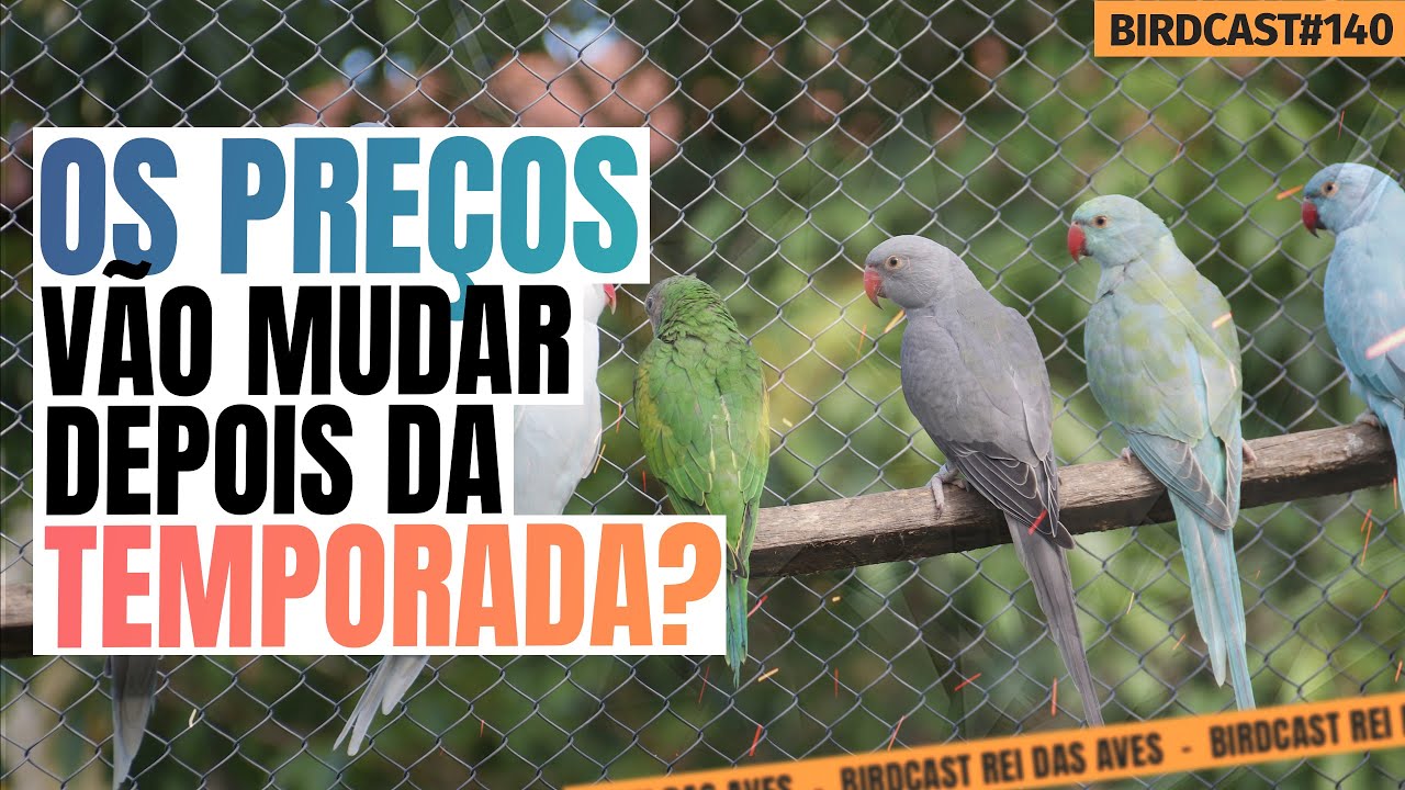 SOBRE A NOVA LISTA DE PREÇOS DE RING NECK #140 - YouTube