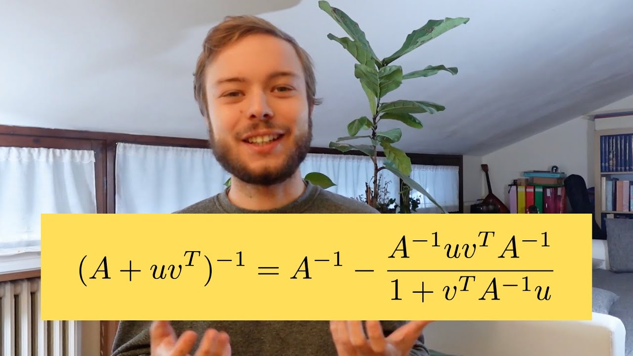 Formula di Sherman-Morrison : Inversa della perturbazione di una ...