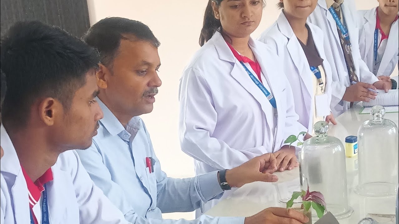 Demonstration of Process Of Transpiration In Plants by bell jar ...