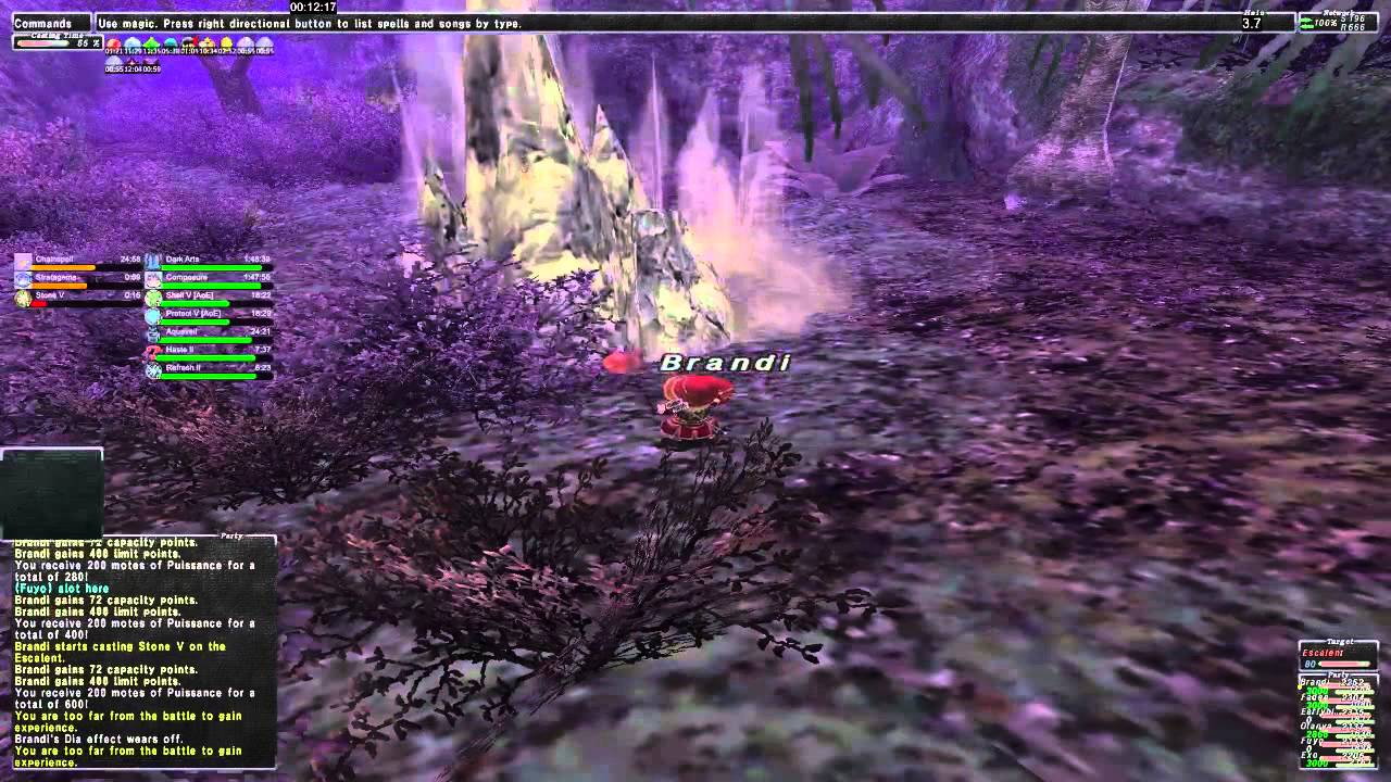 FFXI Yorcia Weald Skirmish II Brandi - YouTube
