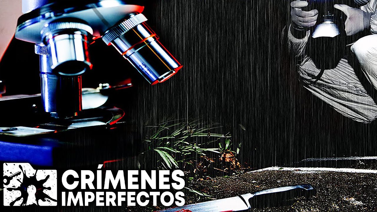Crimenes Imperfectos | Ataque Biológico | Capitulo 25 Completo | Nuevos ...