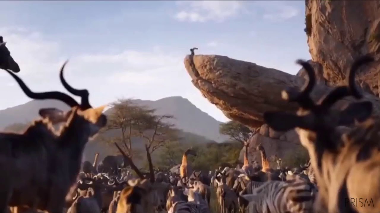 Simba gets yeeted in real life - YouTube