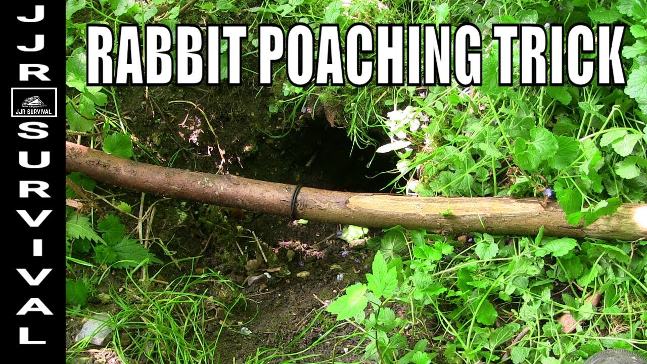 Rabbit Poaching Trick - YouTube