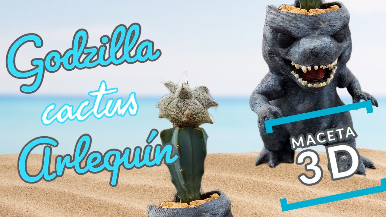 Godzilla funko convertido en maceta - ⭐️⭐️⭐️⭐️⭐️myriostigma coahuilense ...