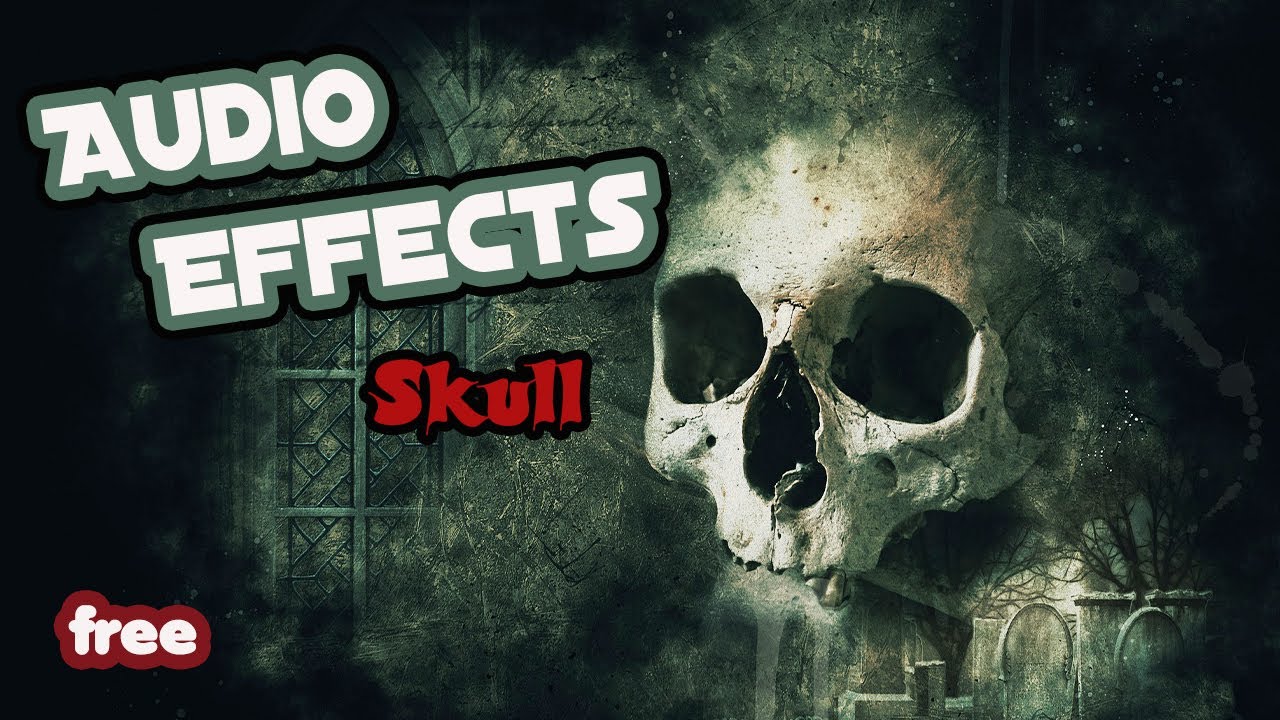 𝗦𝗞𝗨𝗟𝗟 💀 𝗔𝘂𝗱𝗶𝗼 𝗘𝗳𝗳𝗲𝗰𝘁𝘀 | 𝗙𝗿𝗲𝗲 - YouTube