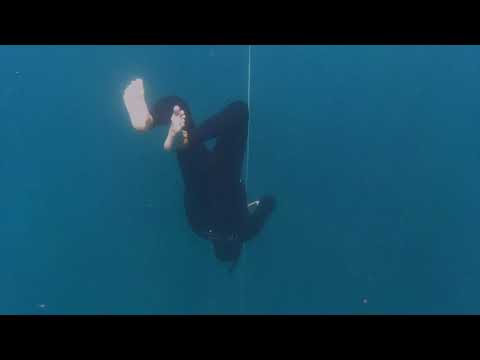 Chinitong Mandaragat - area 51, mabini batangas, crown jelly fish - YouTube