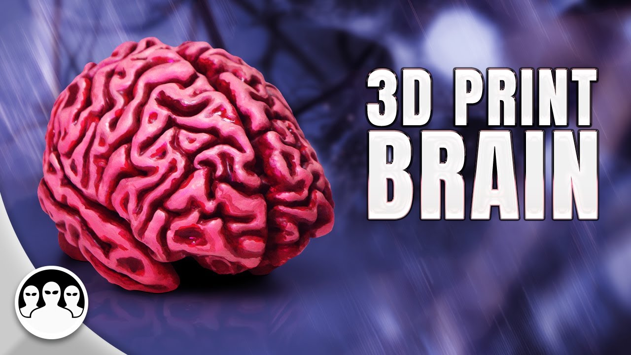 Human Brain: 3D Printing Time-Lapse & Painting - YouTube