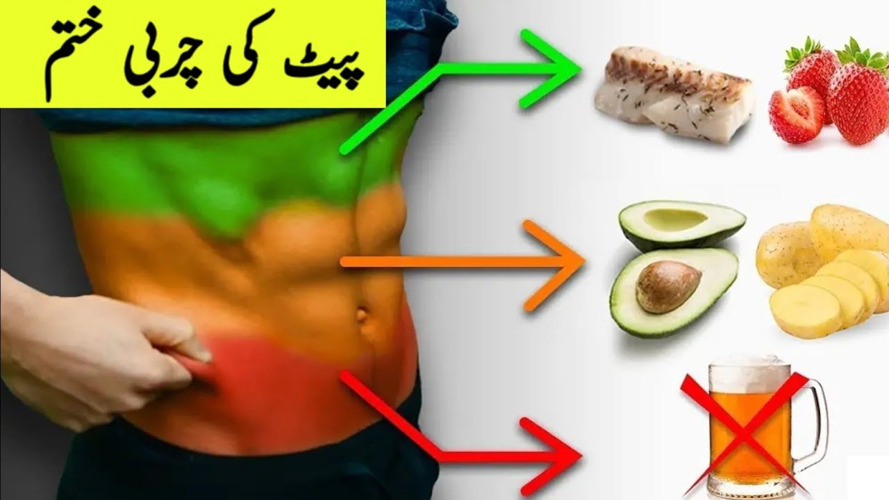 Reduce Belly Fat |Science Based - YouTube
