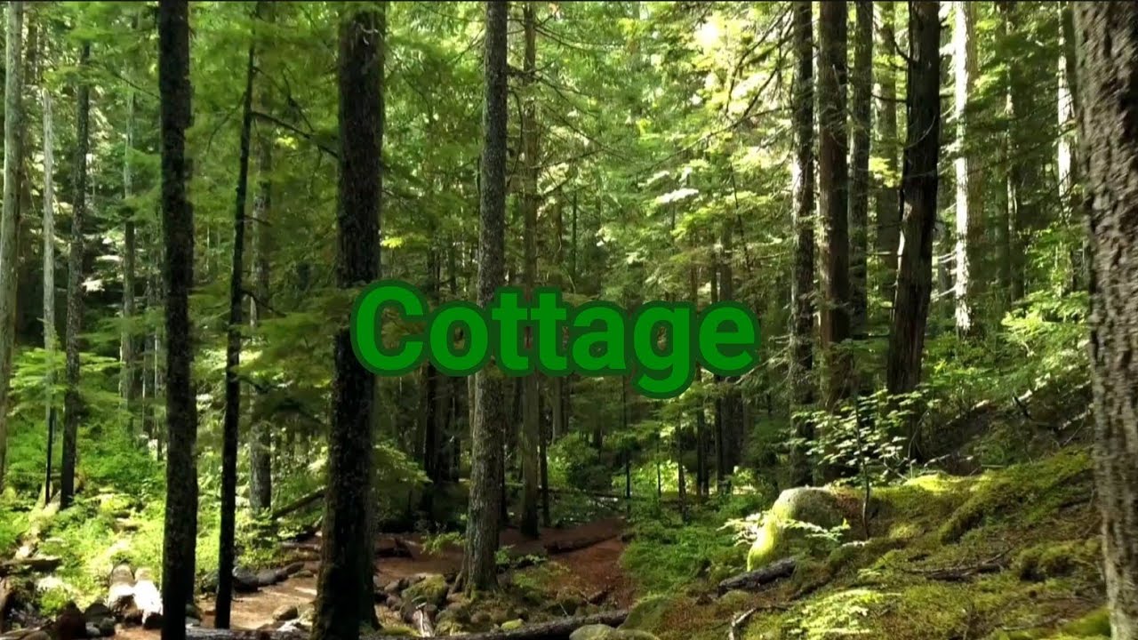 Cottage [LYRICS] - YouTube