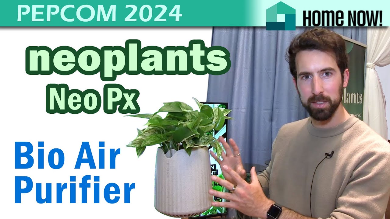 Plant-based Air Purifier - Neo Px by neoplants @Home Now! 2024 - YouTube