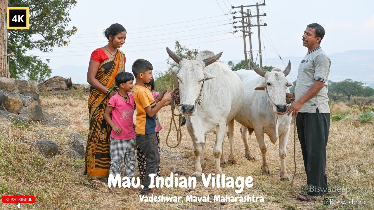Mau, Vadeshwar, Maharashtra, Indian village 🏡🏕️ | People of Mau 🧑‍🤝‍🧑 ...