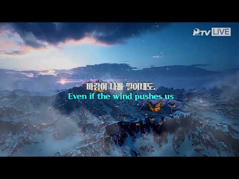 Monarch Butterfly 🦋 The Entrance Ceremony of Cheon Won Gung in The Cheon il Sanctum