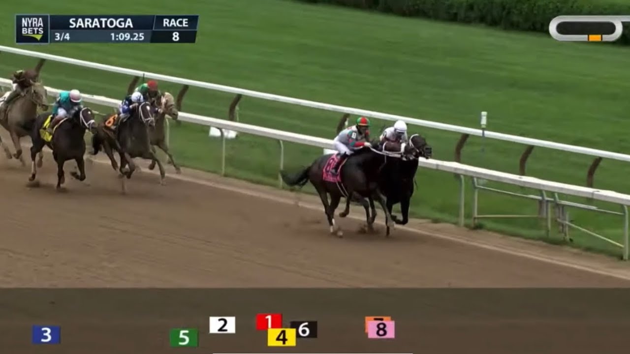 Calling The 2021 Forego Stakes - YouTube