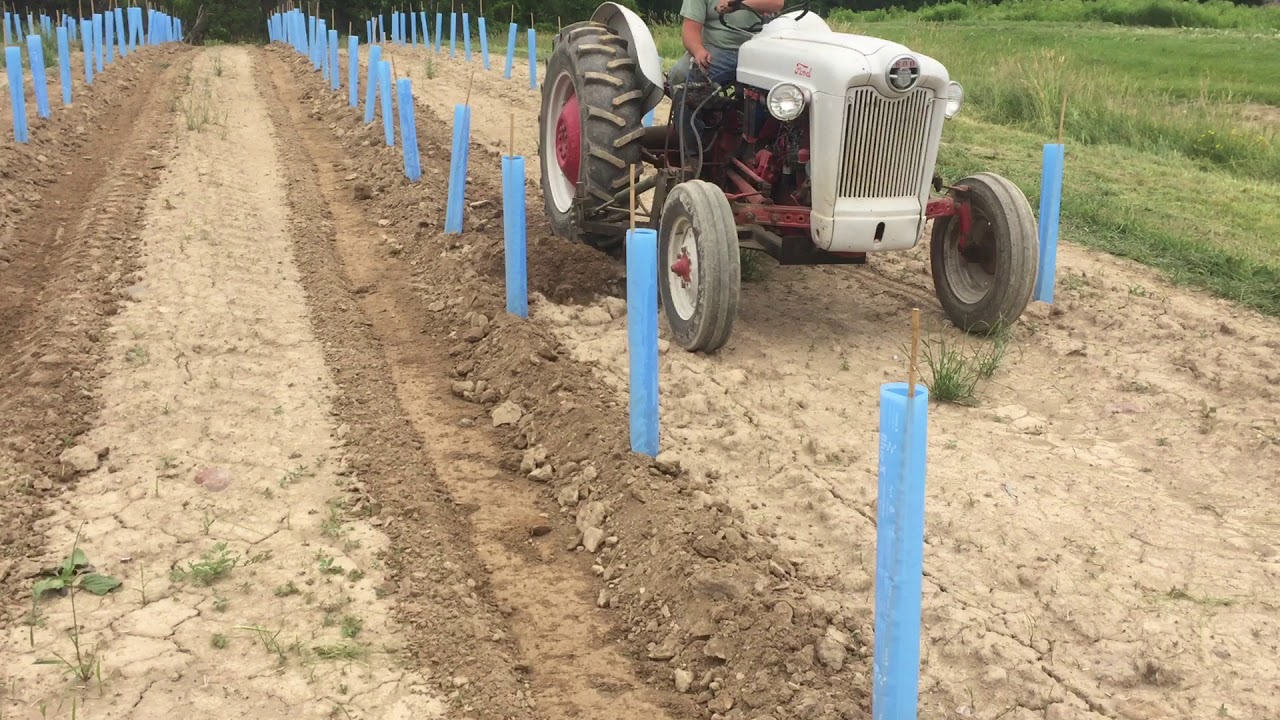 Hilling Up - YouTube