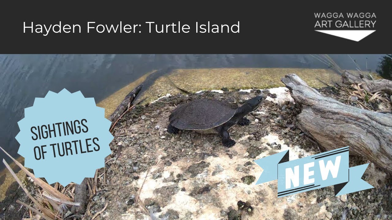 Hayden Fowler: Turtle Island. 3 minute animal survey - YouTube