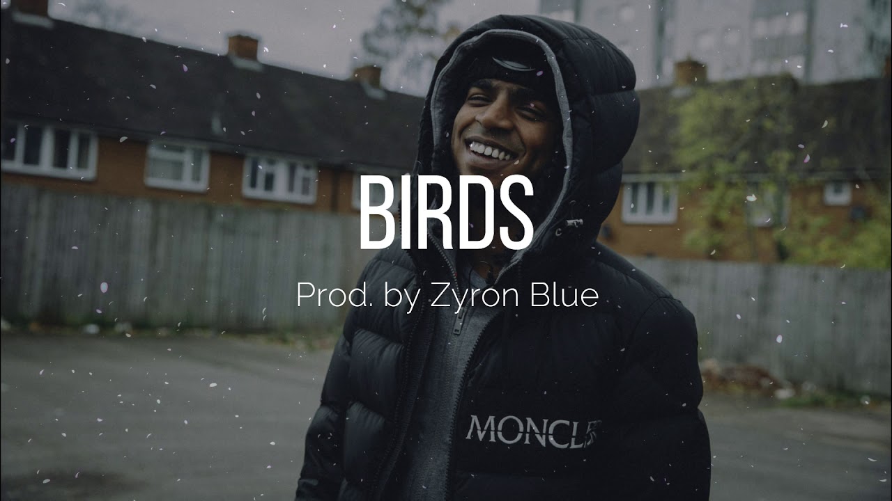 [FREE] Mowgli x Mist x Nines Type Beat - "Birds" (Zyron Blue) - YouTube