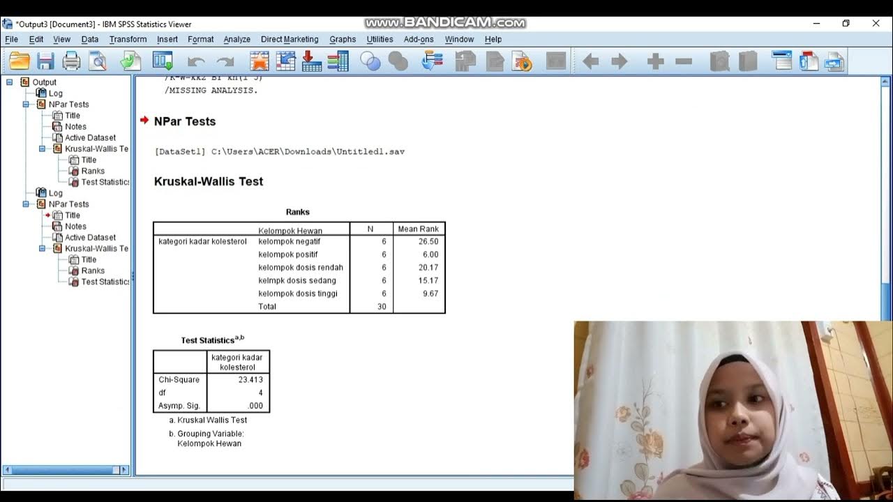 Tutorial Pengolahan Data di SPPS_Syahriza Dinda_2248201188_5D Farmasi_UFDK - YouTube