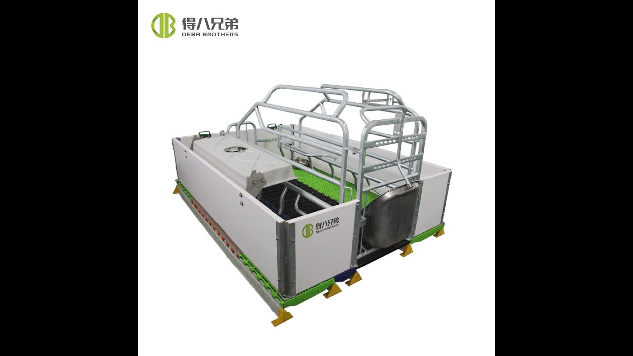 Pig farm equipment-Farrowing Crate - YouTube