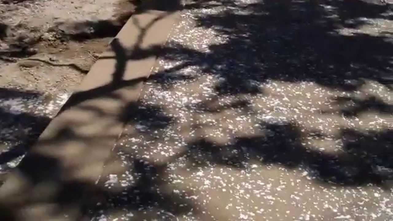 Veterans concrete,...3 custom salt finish concrete patios - YouTube