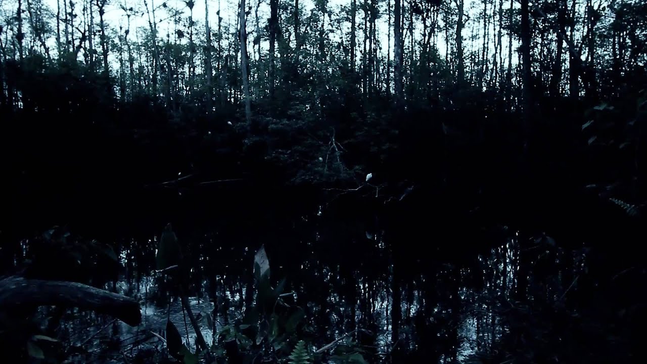 Sleep The Film Teaser Trailer 02 - YouTube