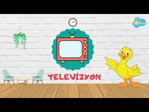 Eşyaları Öğreniyorum-2- İlk Kelimelerim (Seslendirmeli)