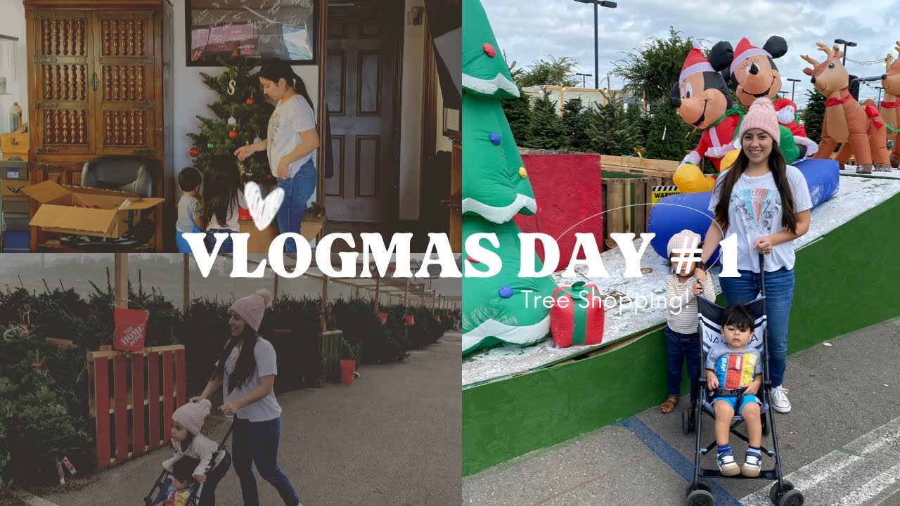 Vlogmas Day 1: Christmas Tree Shopping & Decorating - YouTube