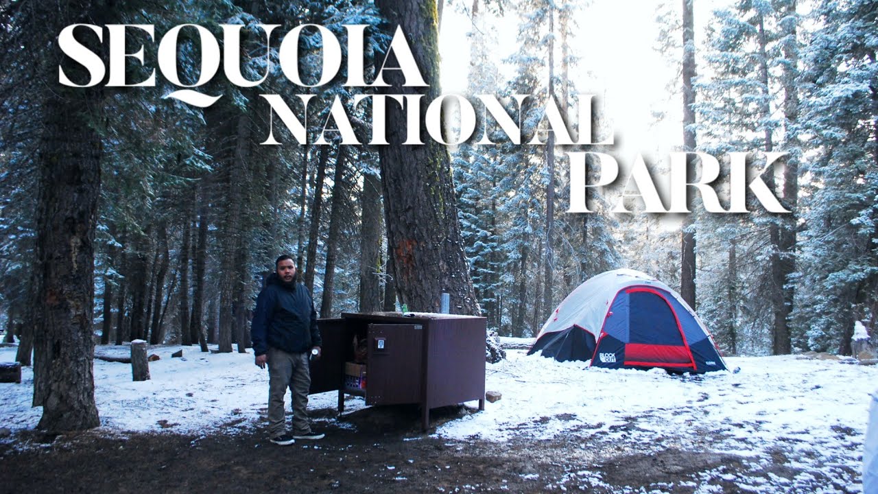 Sequoia National Park 2021 | Camping in the Snow | Amber & Maddox - YouTube