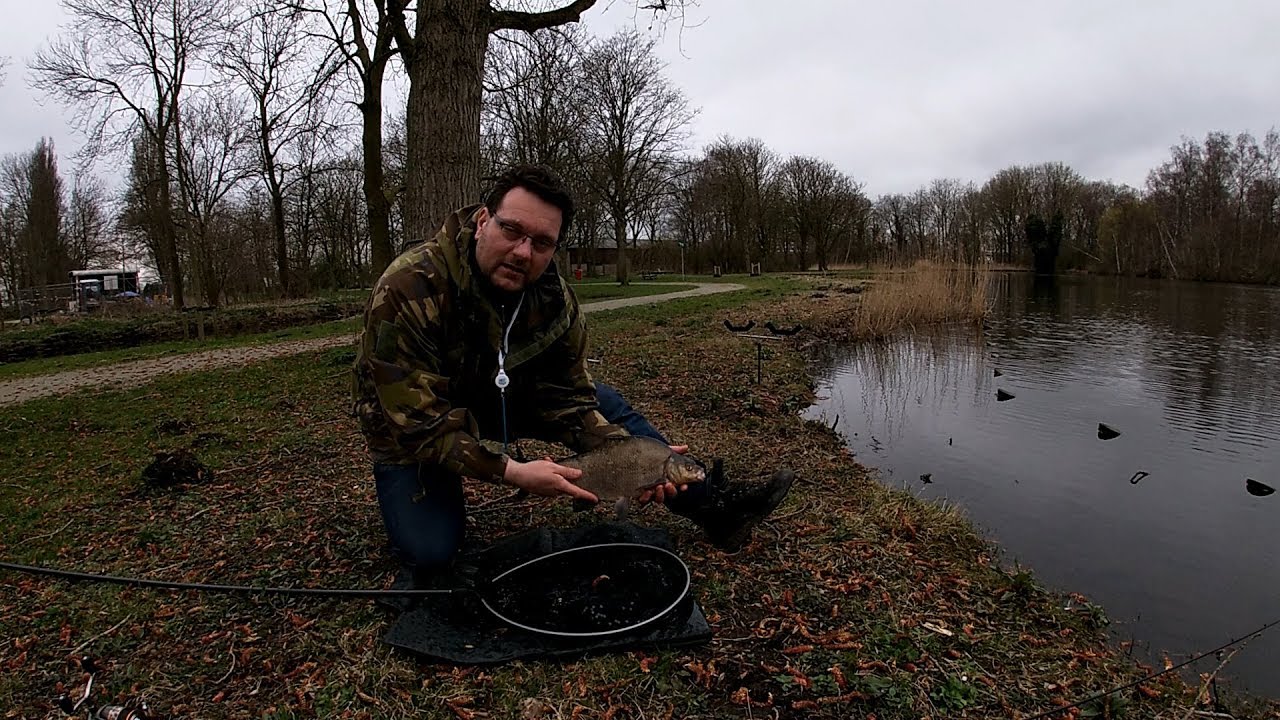 Feedervissen -01- vissen op een park vijver - YouTube