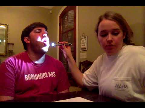 oral mech video - YouTube