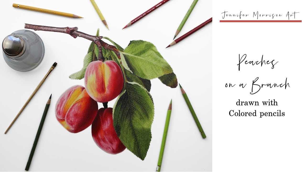 Drawing Realistic Peaches on a Branch with Colored Pencils - YouTube