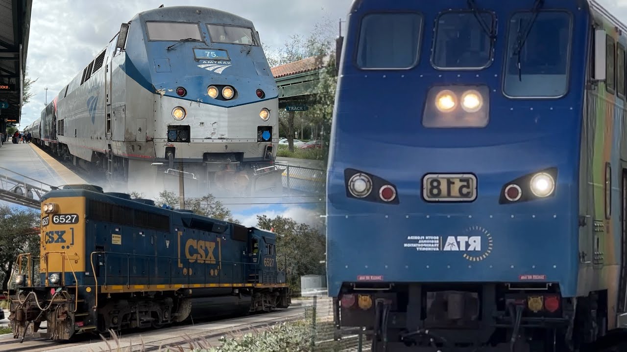 Amtrak, CSX, and New Tri-Rail Livery in South Florida! - YouTube