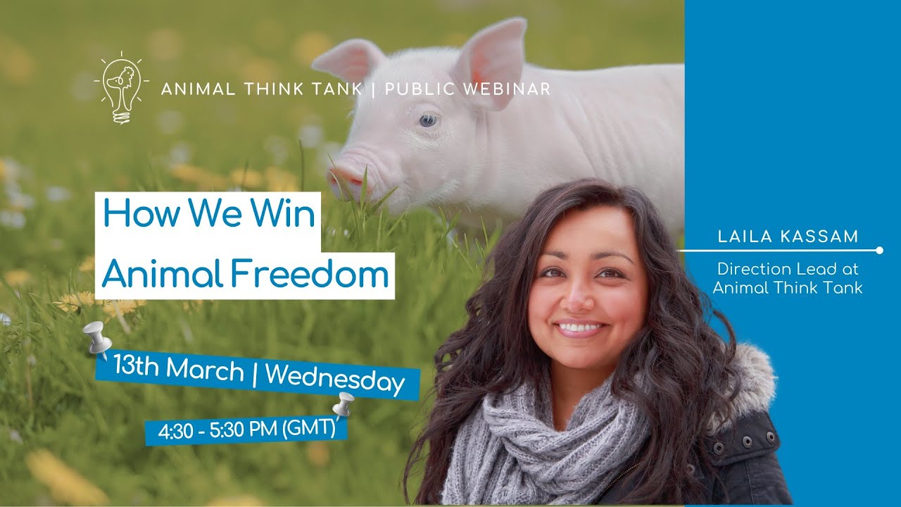 How we win animal freedom - YouTube