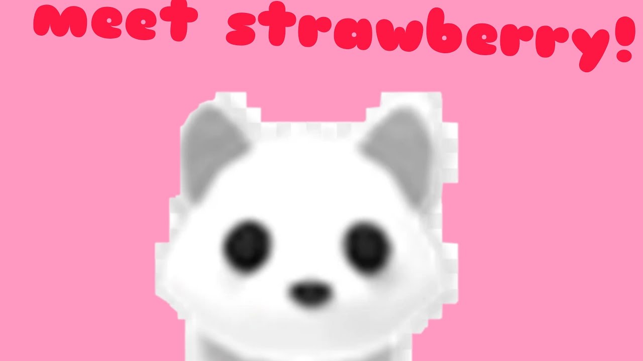 Meet strawberry our new mascot! (roblox adopt me) - YouTube