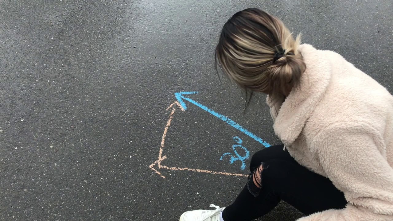 Physics Vectors Project - YouTube