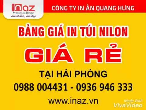 In túi nilon hải phòng, in túi ni lông giá rẻ hải phòng, Công ty in túi hải phòng.