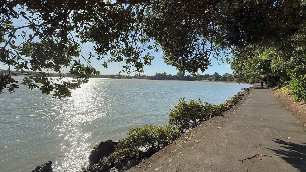 Panmure Basin Lake, Auckland, New Zealand - YouTube