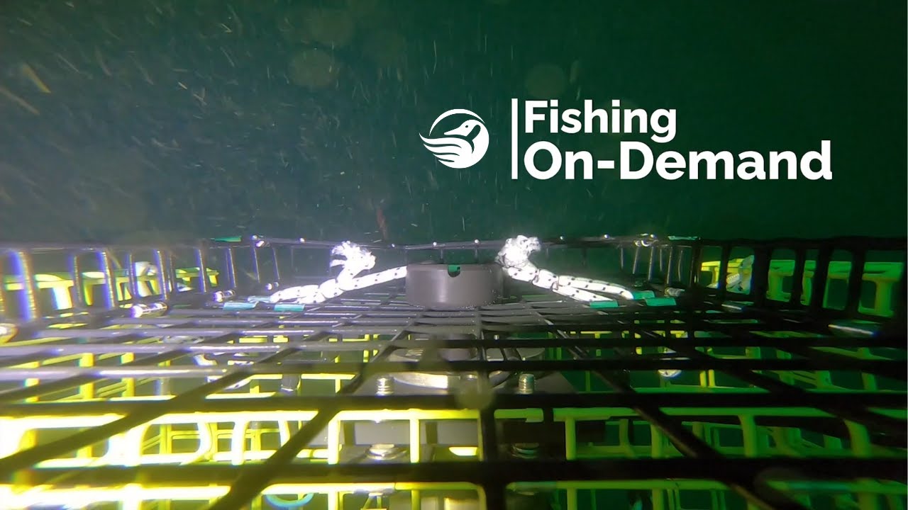 Fishing On-demand - YouTube