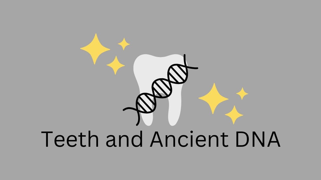 Teeth and Ancient DNA - YouTube