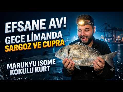 Gece Limanda Sargoz ve Çupra Peşinde!