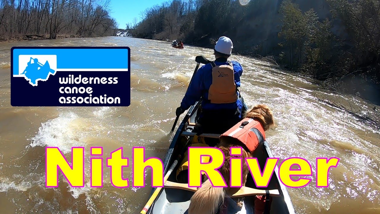 Nith River with a Golden Retriever - YouTube