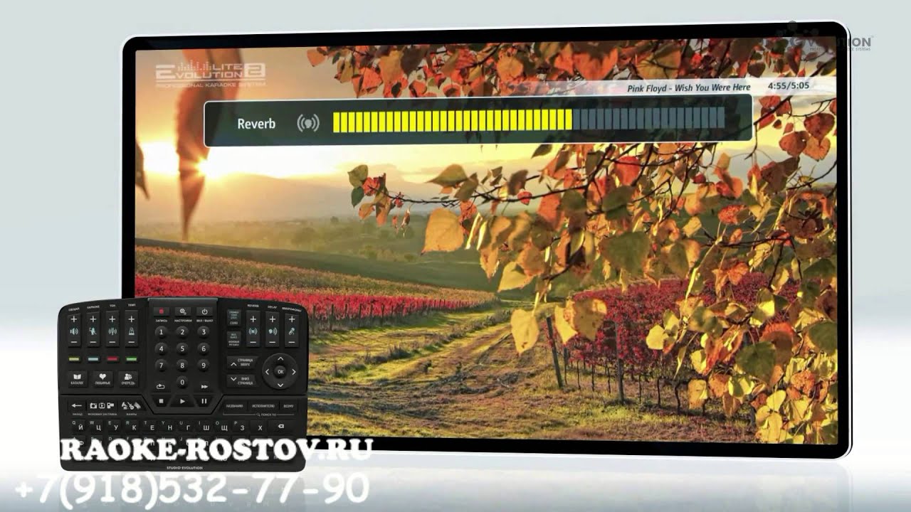 Караоке система Evolution Lite2 Настройка, раздел «Аудио» - YouTube