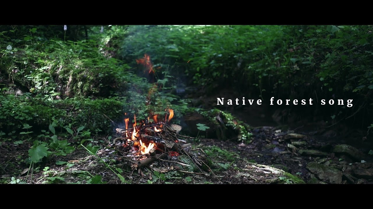 A fire near a forest stream🦋Sounds of the wild nature. Ethnic music and ...