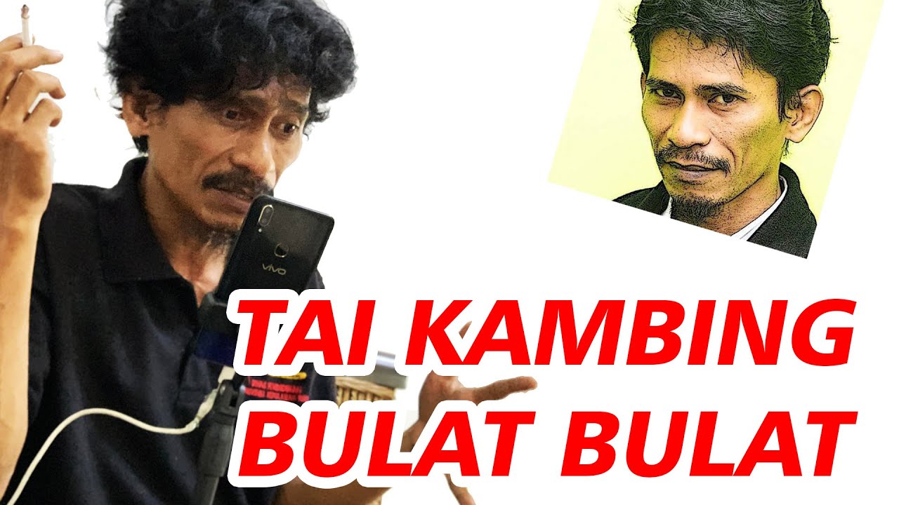 APA BOLEH BUAT TAI KAMBING BULAT BULAT New Version - Lagu Komedi Melayu ...