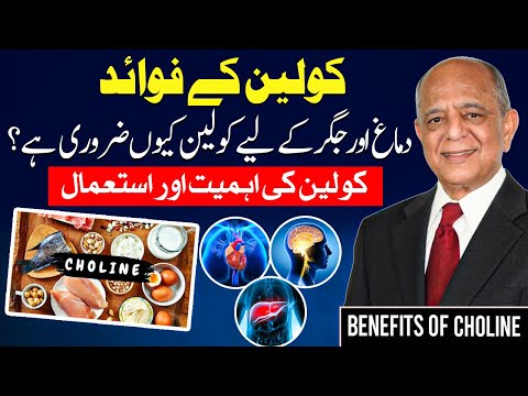 Choline benefits | Why is Choline important for the brain and liver? | Choline importance and use