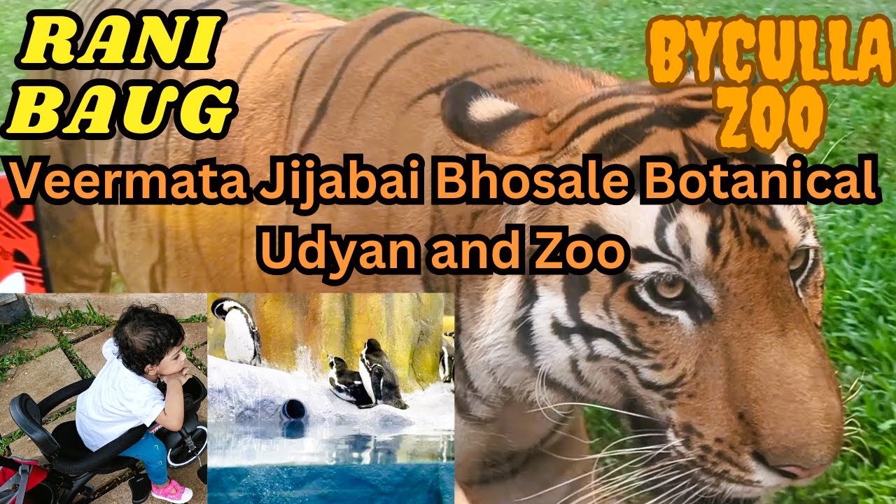 RANI BAUG/BYCULLA ZOO/Byculla Zoo Mumbai | Complete Tour Guide Of Rani ...