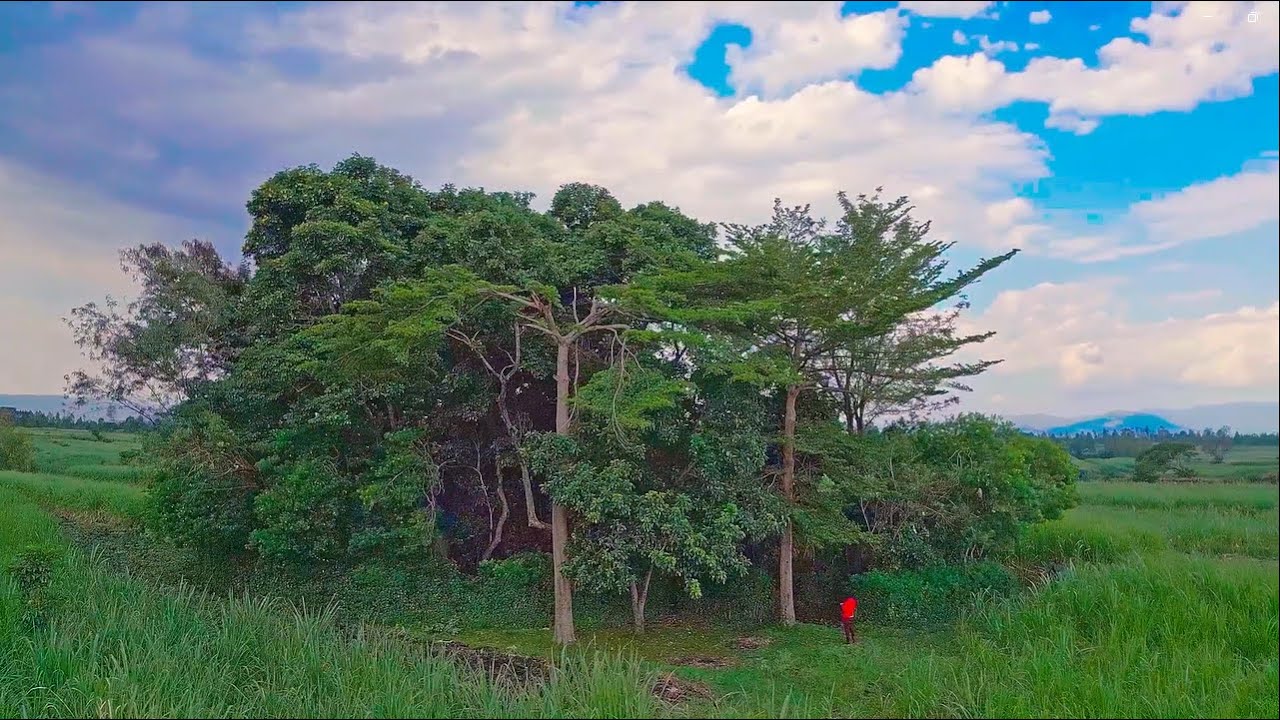 The Lwanda Magere Shrine - Kothbiro (Ayub Ogada Tribute) - YouTube